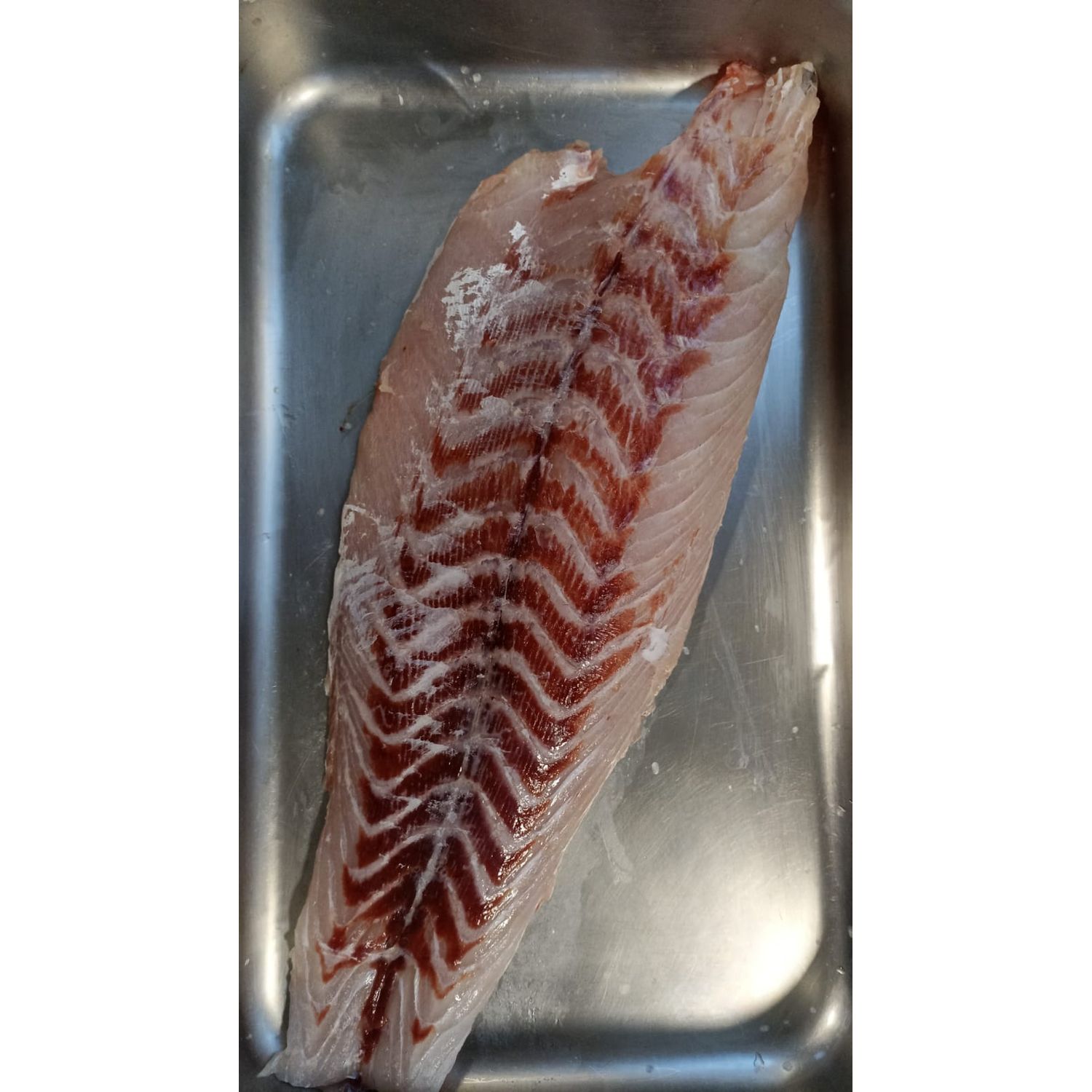 Filé de Robalo (500g) | Olha o Peixe!