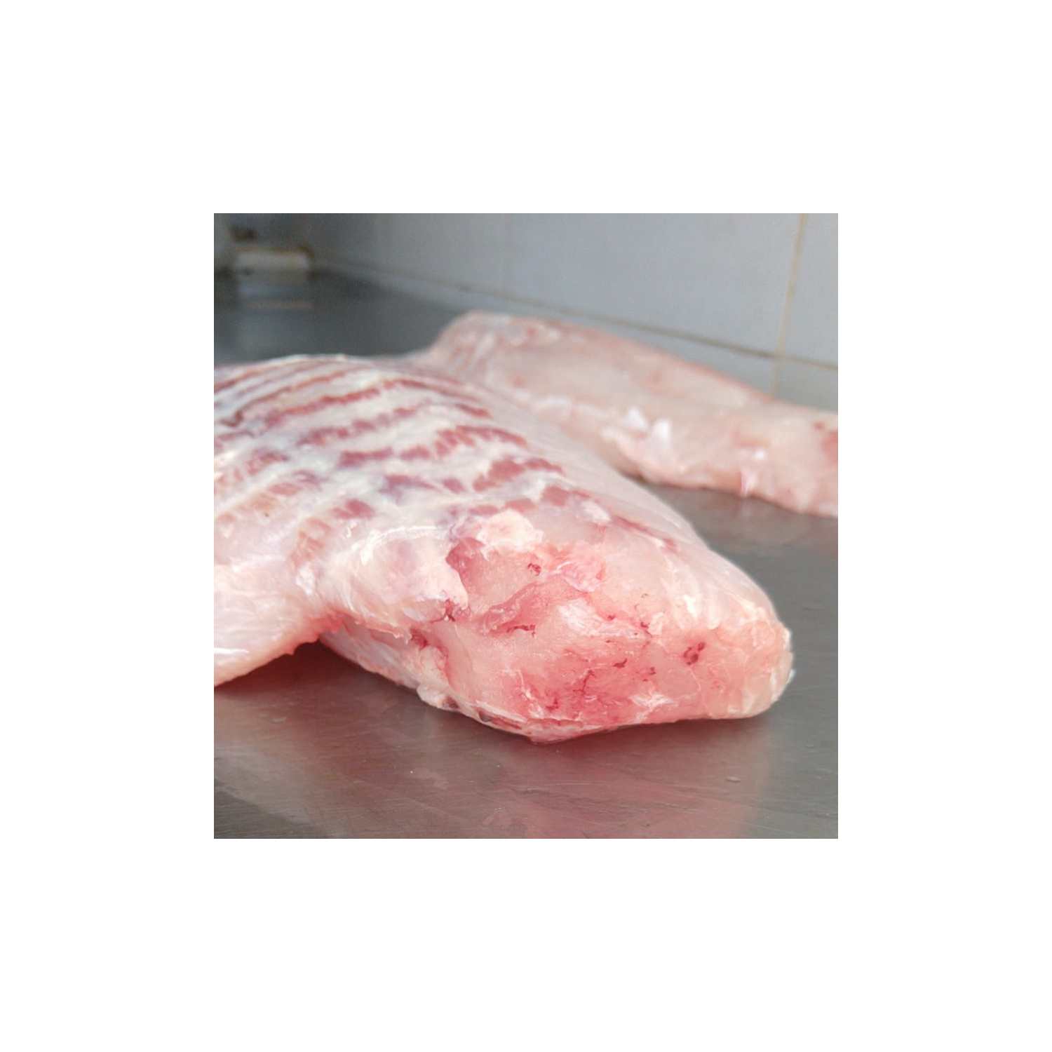 Filé de Robalo 500g | Peixes Curitiba – Olha o Peixe | Olha o Peixe!