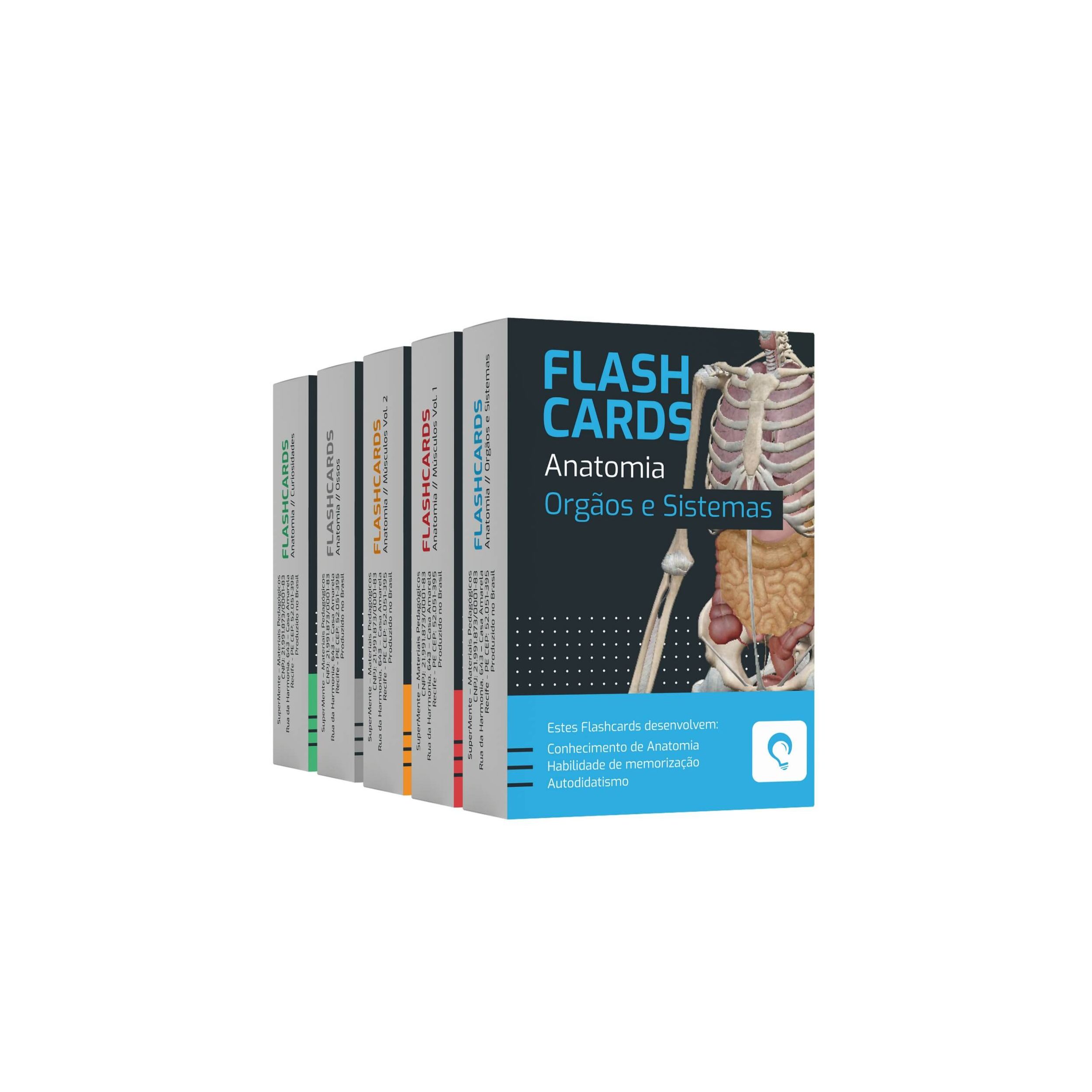 Flashcards de Anatomia - Kit | Editora Magnificat